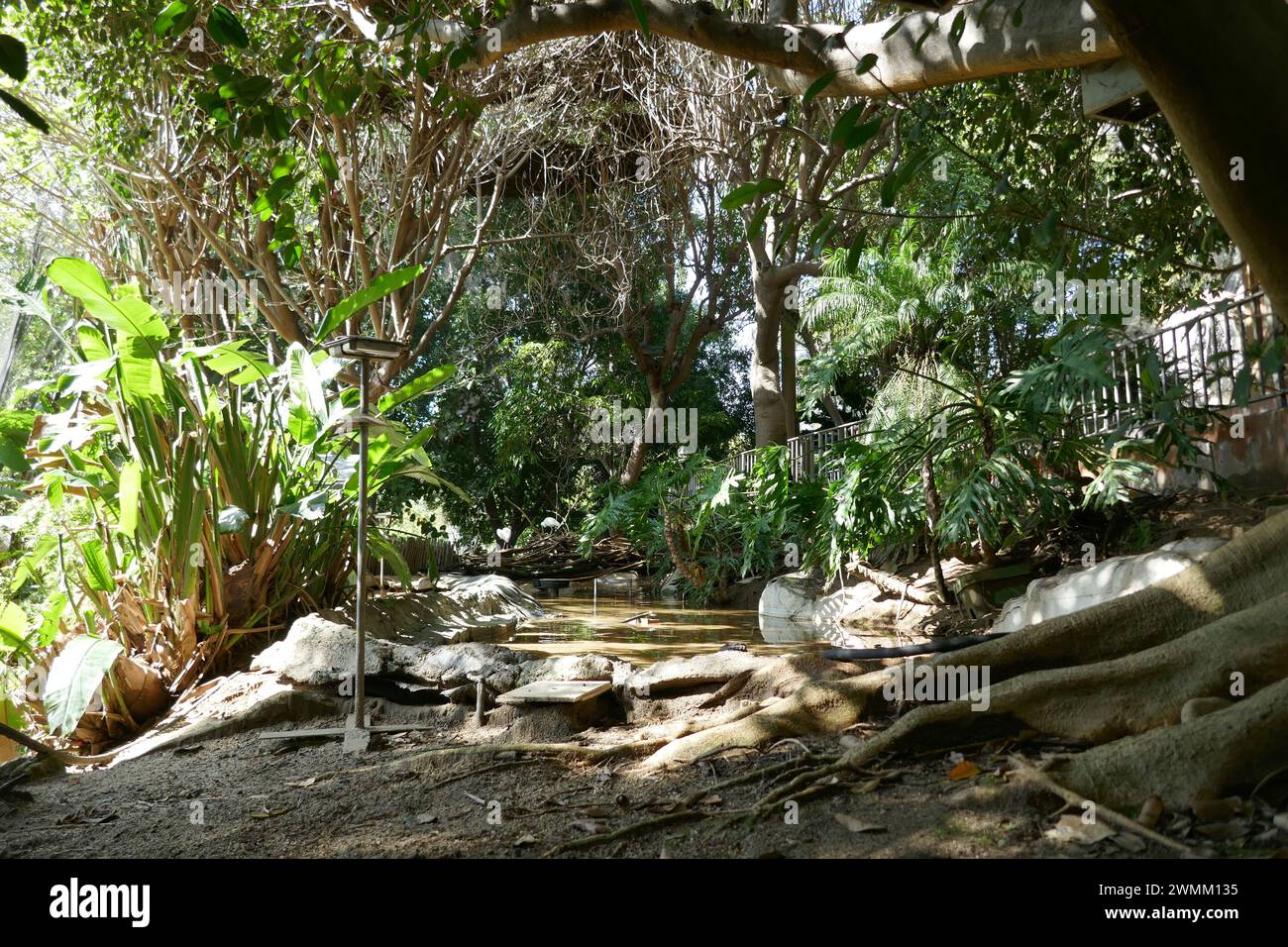 Los Angeles, California, USA 22nd February 2024 Aviary at LA Zoo on ...
