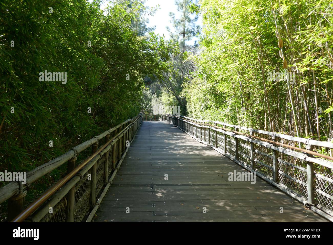 Los Angeles, California, USA 22nd February 2024 Walkway to Rhino and ...