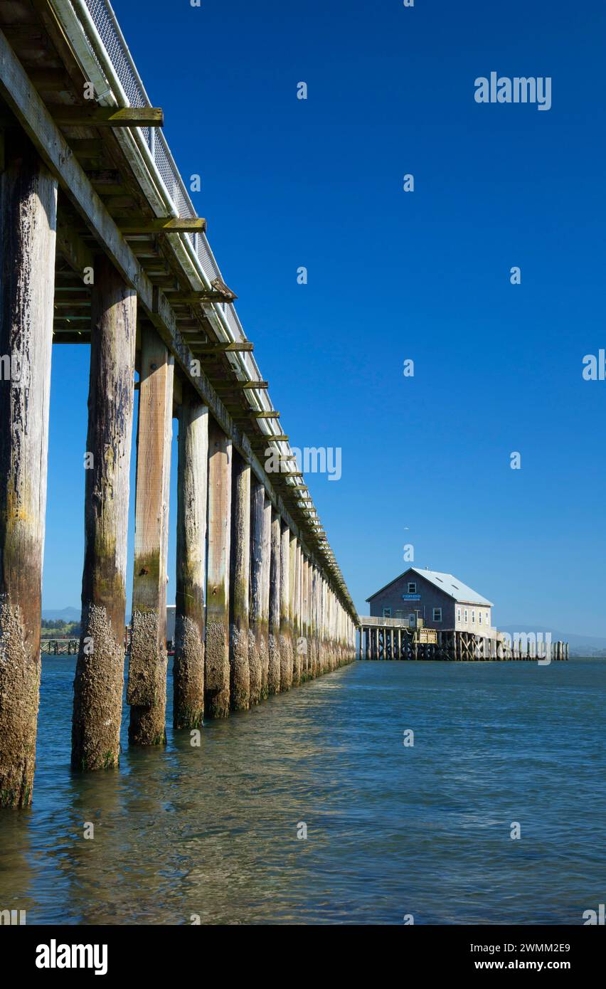 Garibaldi oregon hi-res stock photography and images - Alamy