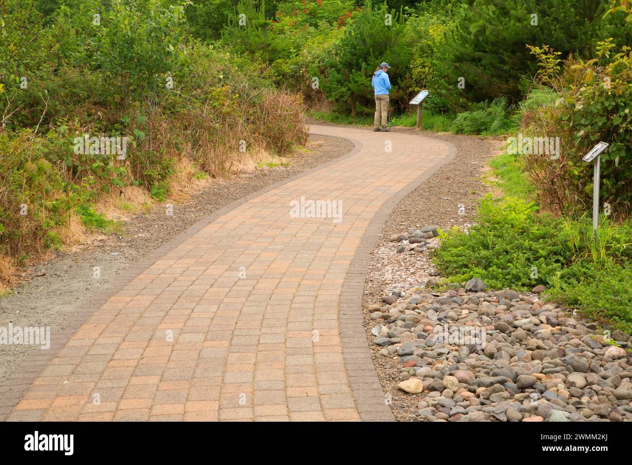 Trailhead Loop Trail, Kilchis Point Reserve, Bay City, Oregon Stock ...