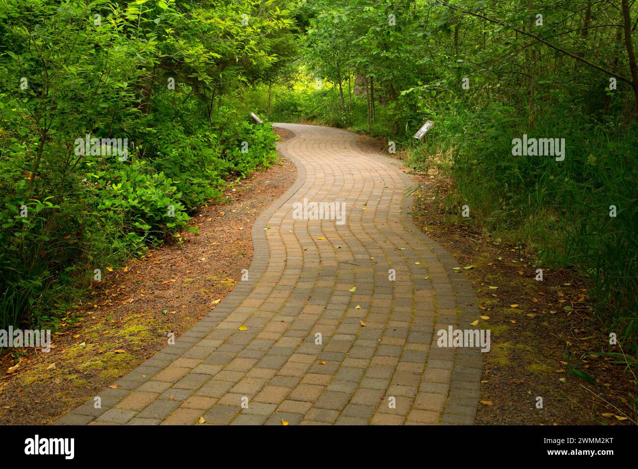 Bay point loop trail hi-res stock photography and images - Alamy
