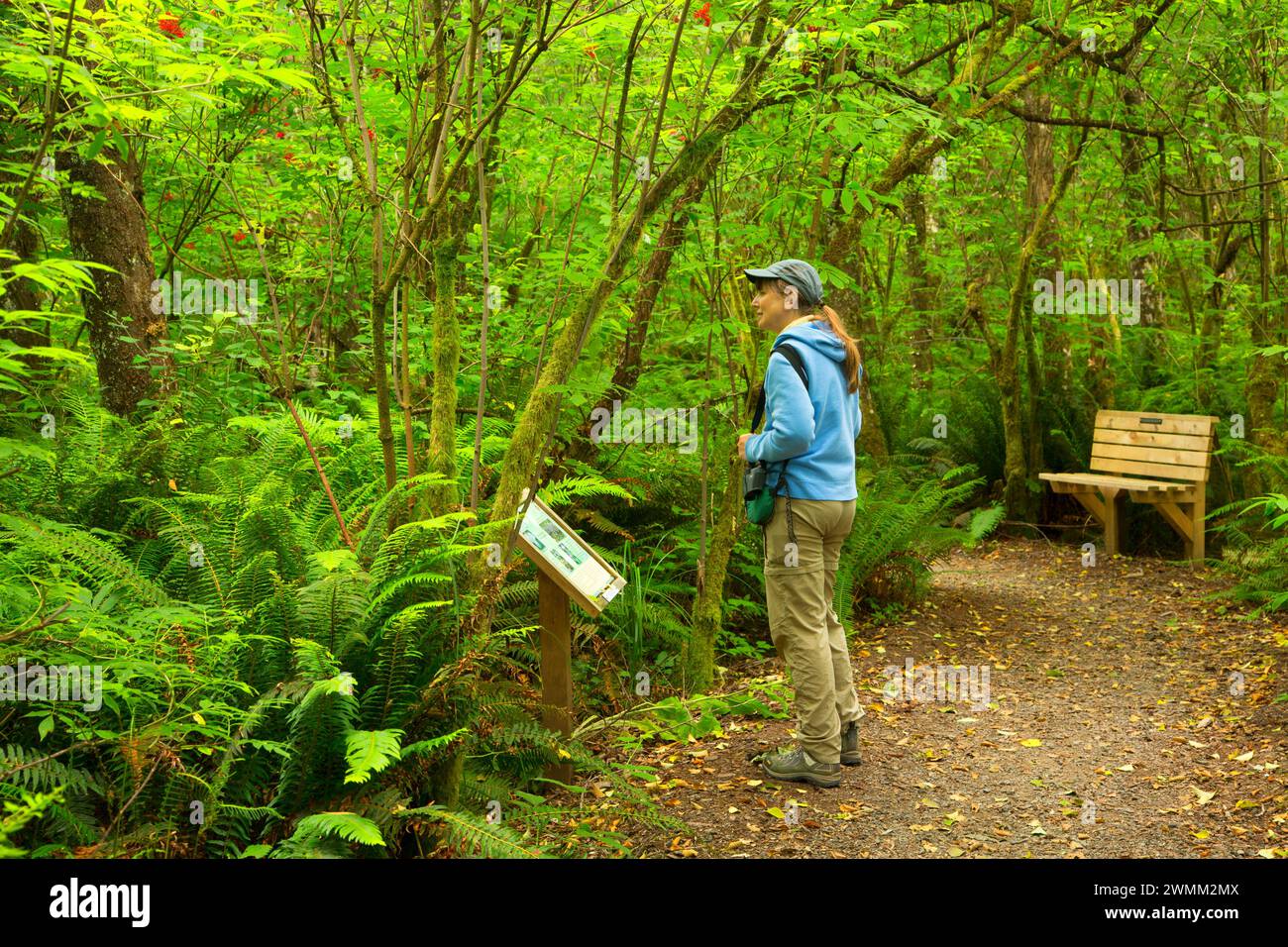 Interpretive board along Flora and Fauna Trail, Kilchis Point Reserve ...