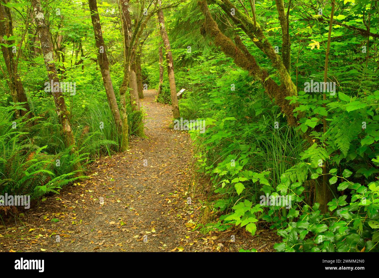 Oregon city trail hi-res stock photography and images - Alamy