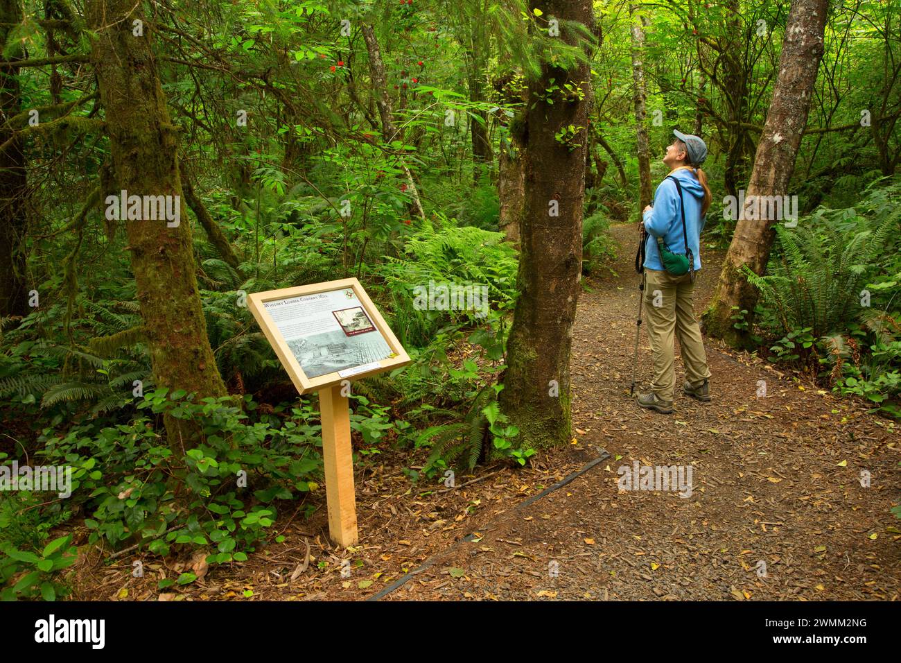 Interpretive board along Pioneer Path Trail, Kilchis Point Reserve, Bay ...