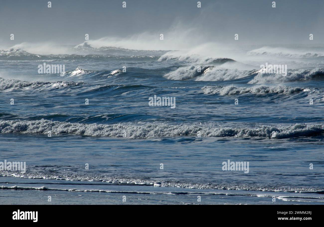Beach surf, Oceanside State Park, Oregon Stock Photo - Alamy