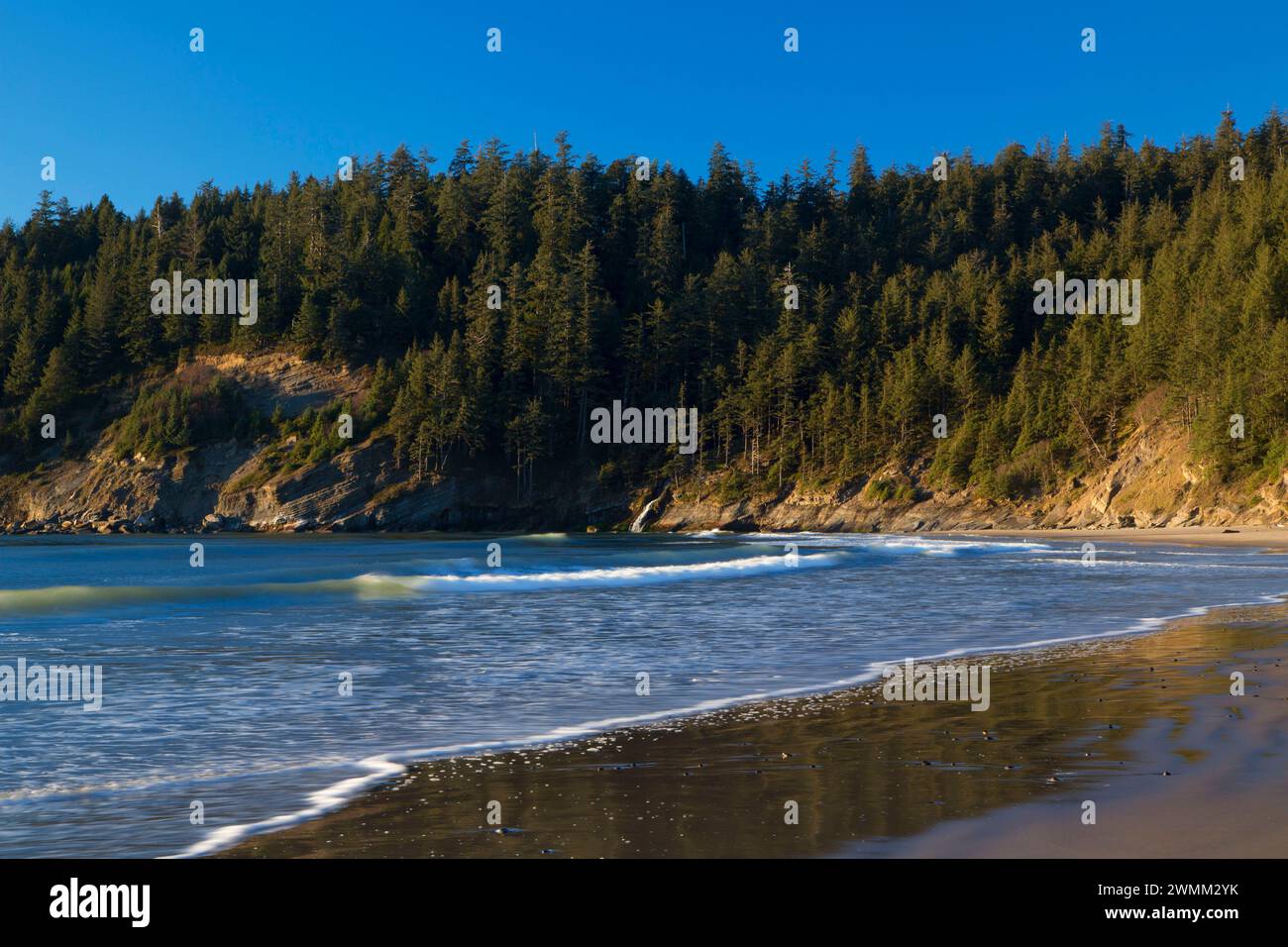 Short Sand Beach, Oswald West State Park, Oregon Stock Photo - Alamy
