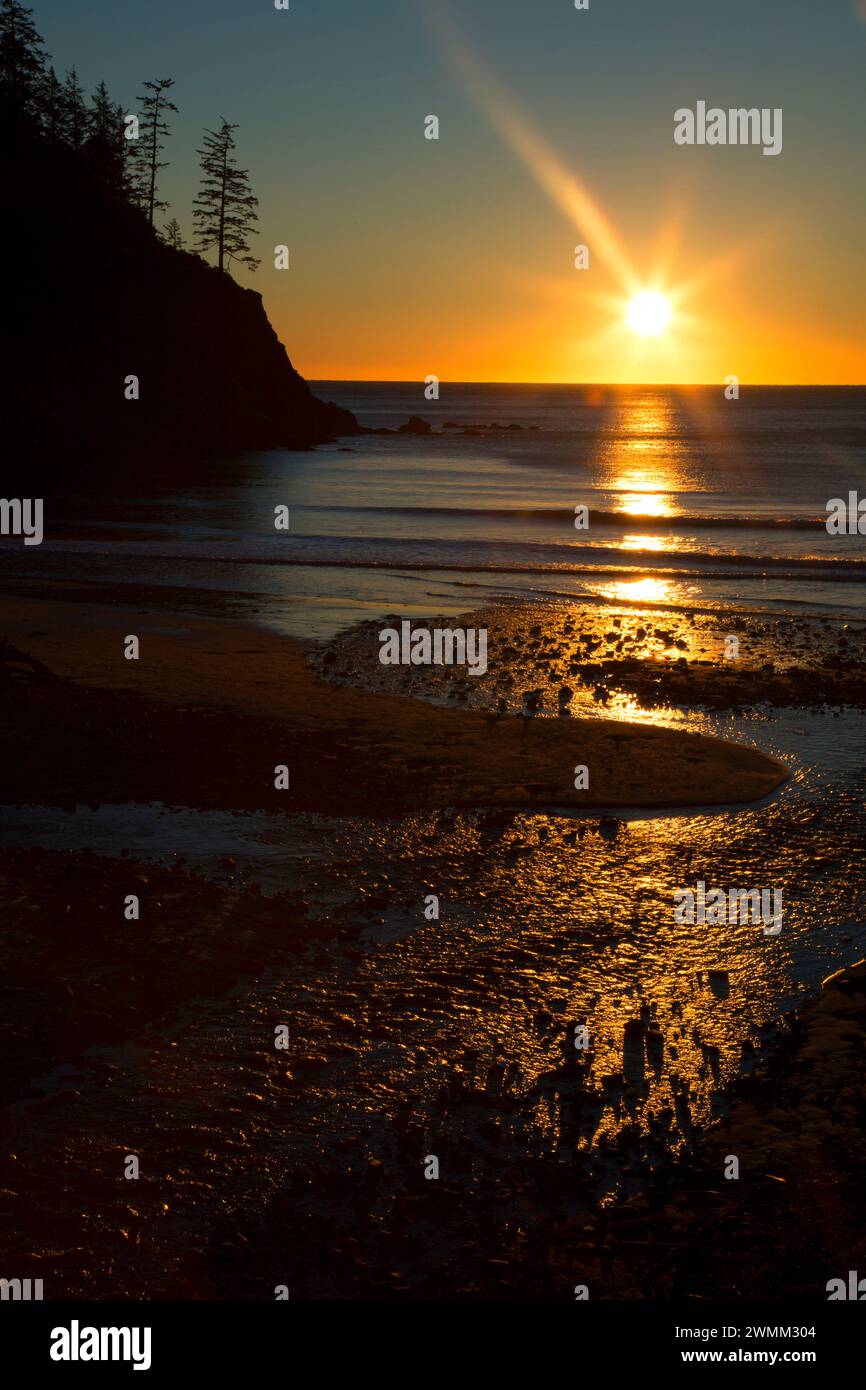 Short Sand Beach sunset, Oswald West State Park, Oregon Stock Photo - Alamy