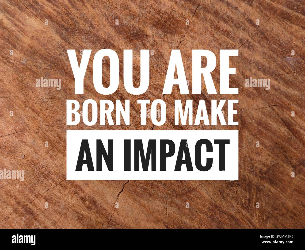 Top view with text YOU ARE BORN TO MAKE AN IMPACT on wooden background ...