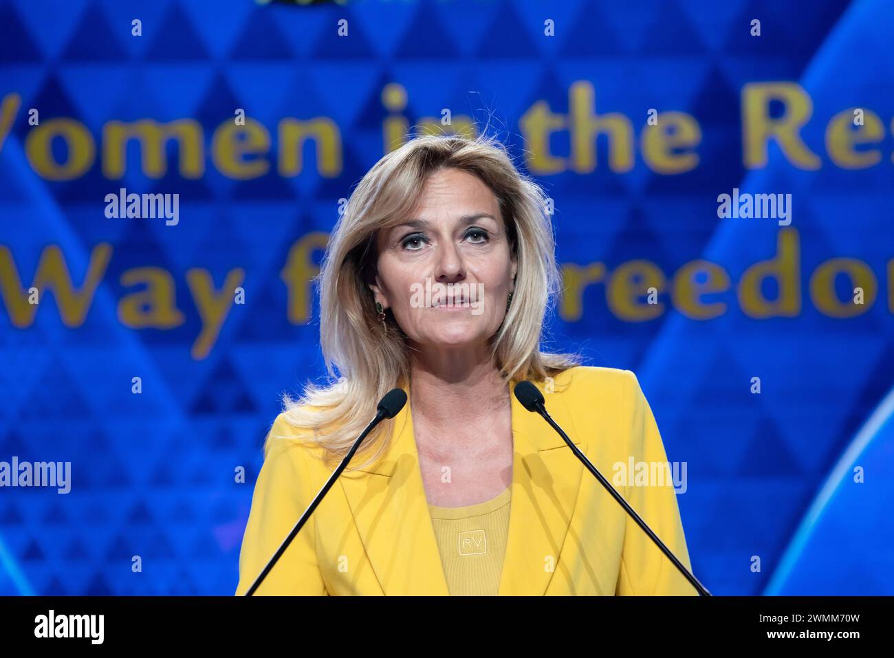 The chamber of representatives hi-res stock photography and images - Alamy