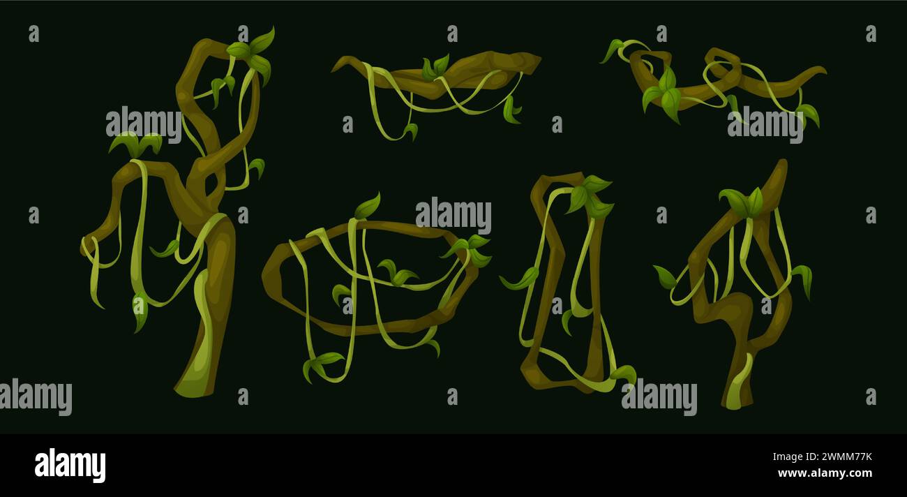 Jungle liana vines with green leaves. Cartoon vector illustration ...