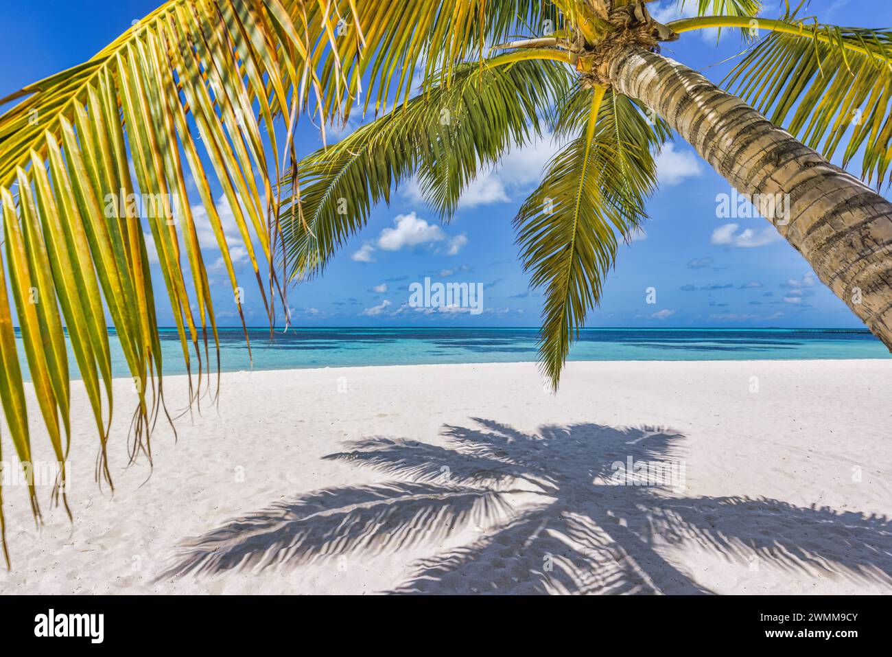 Bahamas beach landscape hi-res stock photography and images - Alamy