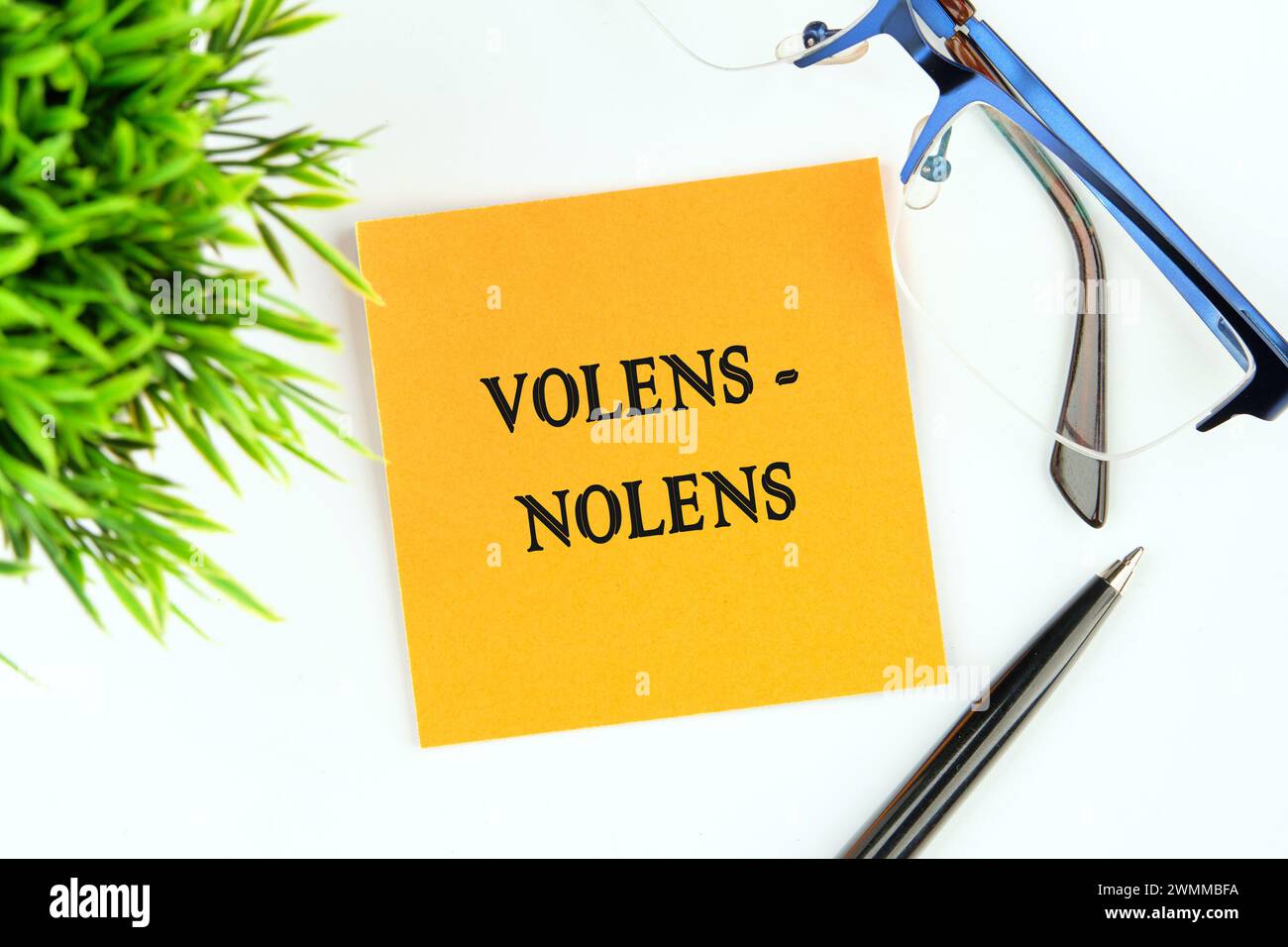 Willy - nilly latin expression volens-nolens (willing or unwilling ...