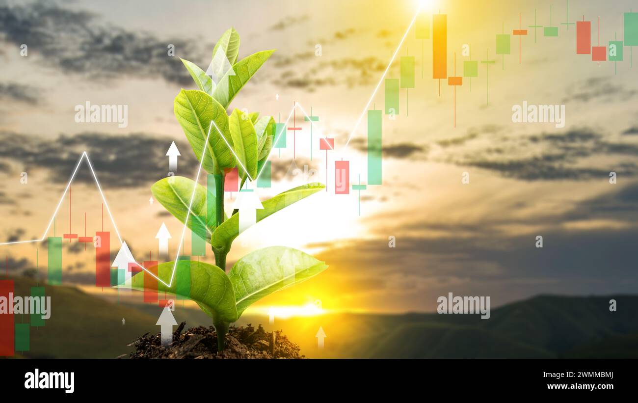 Plant growing with increases in profitability graph. Profitability ...