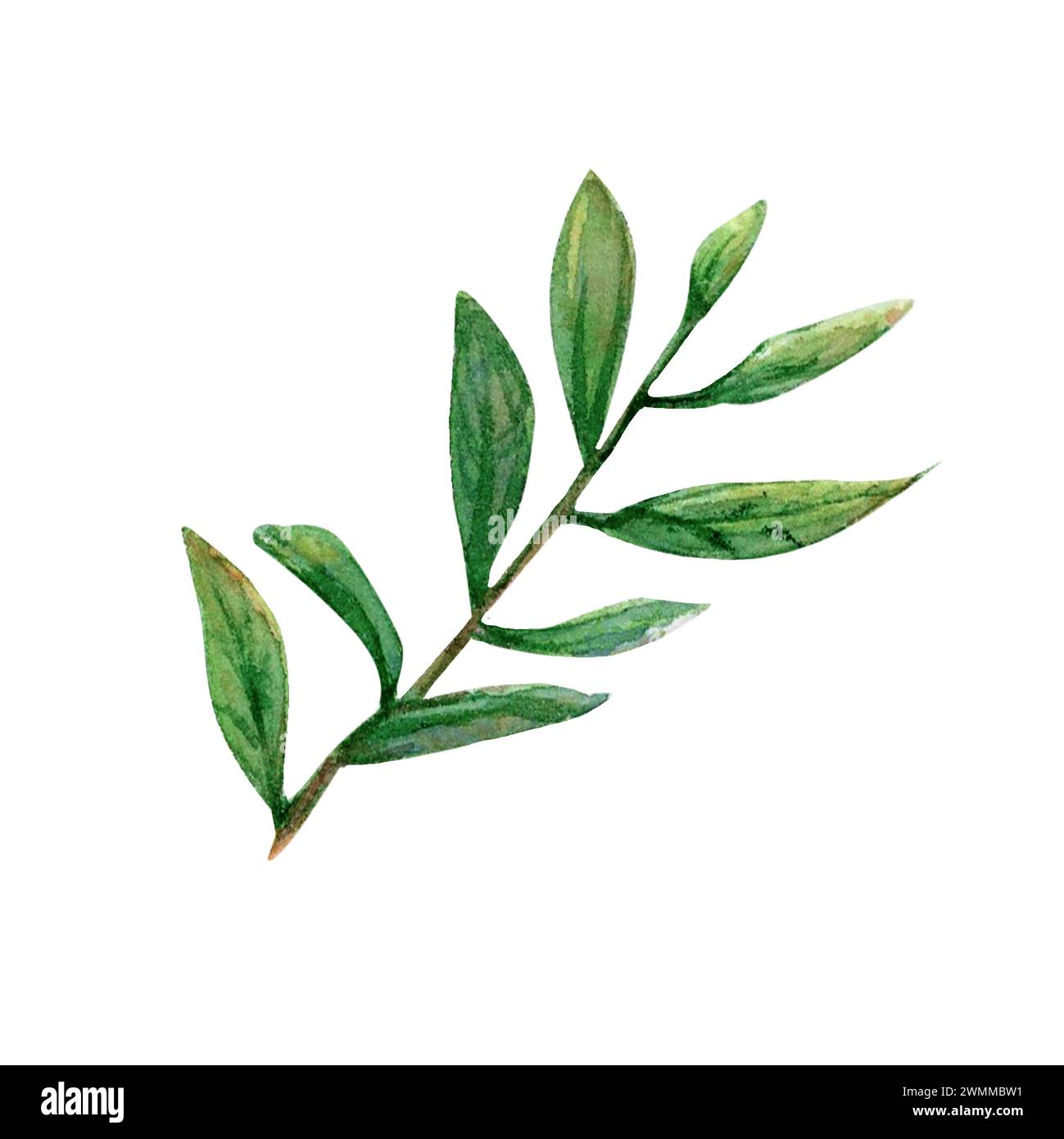 Dark field tree Cut Out Stock Images & Pictures - Alamy