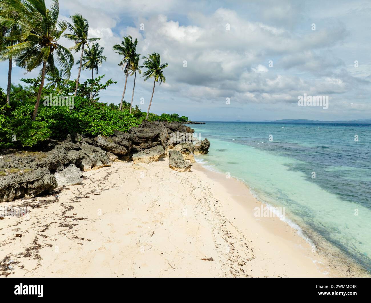 Coconut trees and sandy beach in Carabao Island. Blue sky and clouds ...