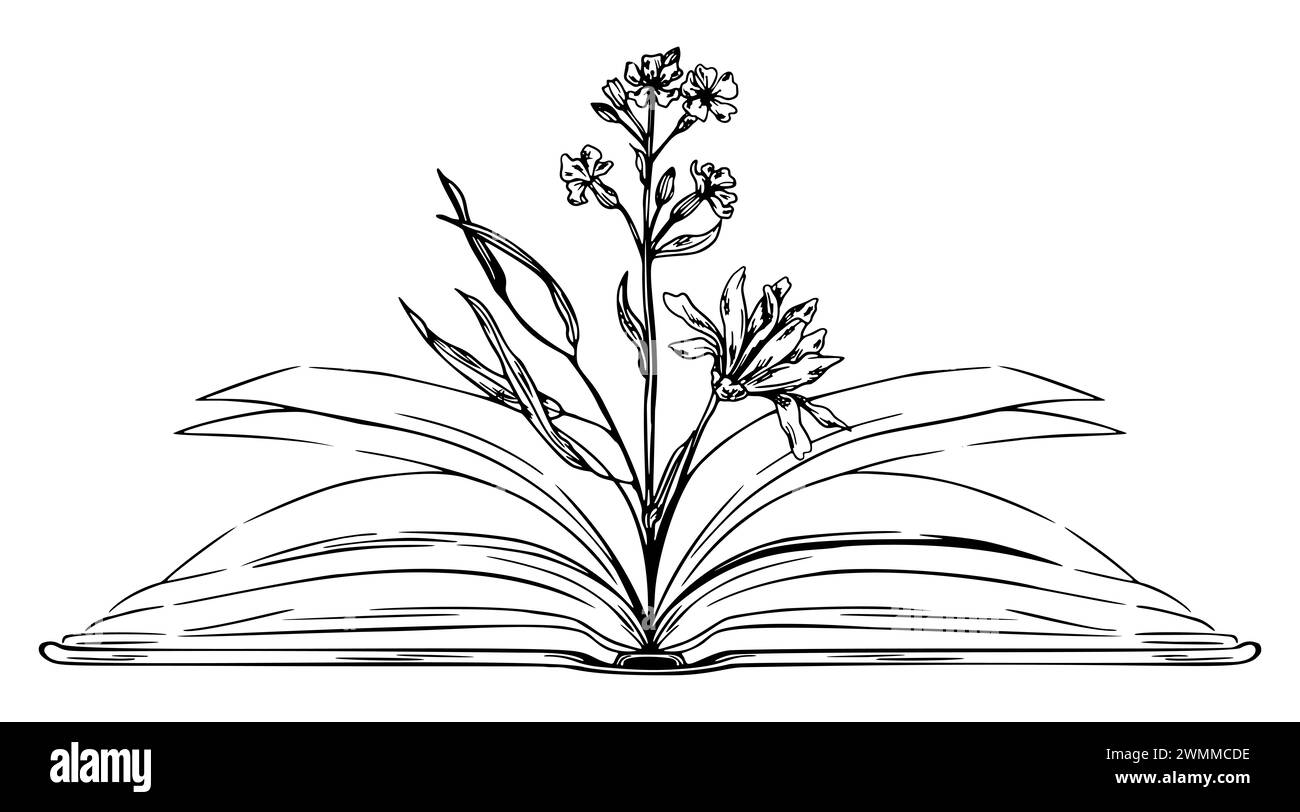 Open book inside nature background hi-res stock photography and images ...
