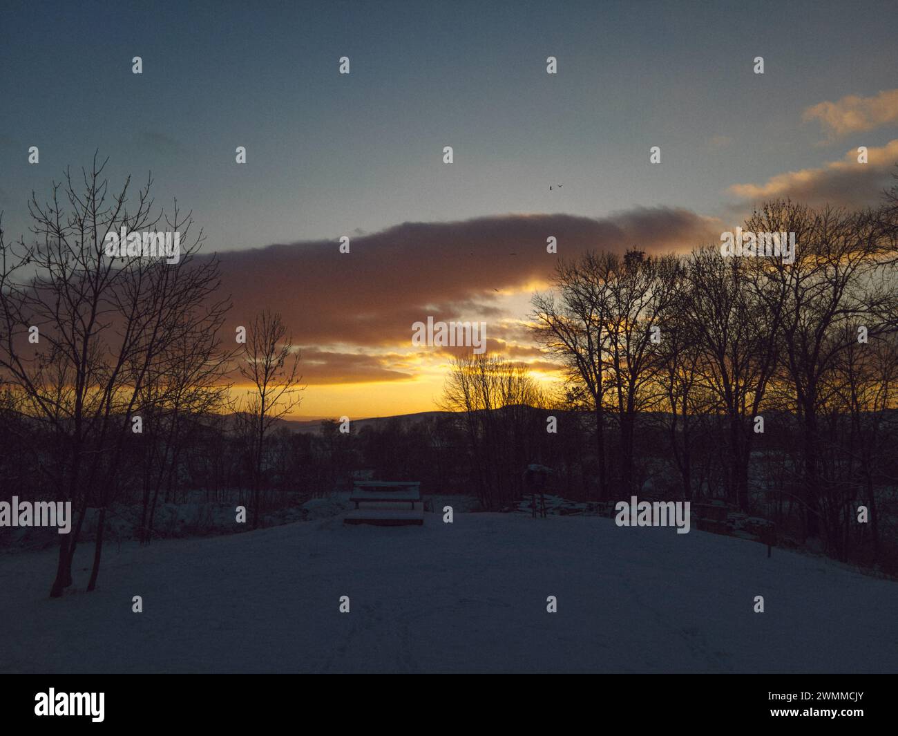 View through fence trees hi-res stock photography and images - Alamy