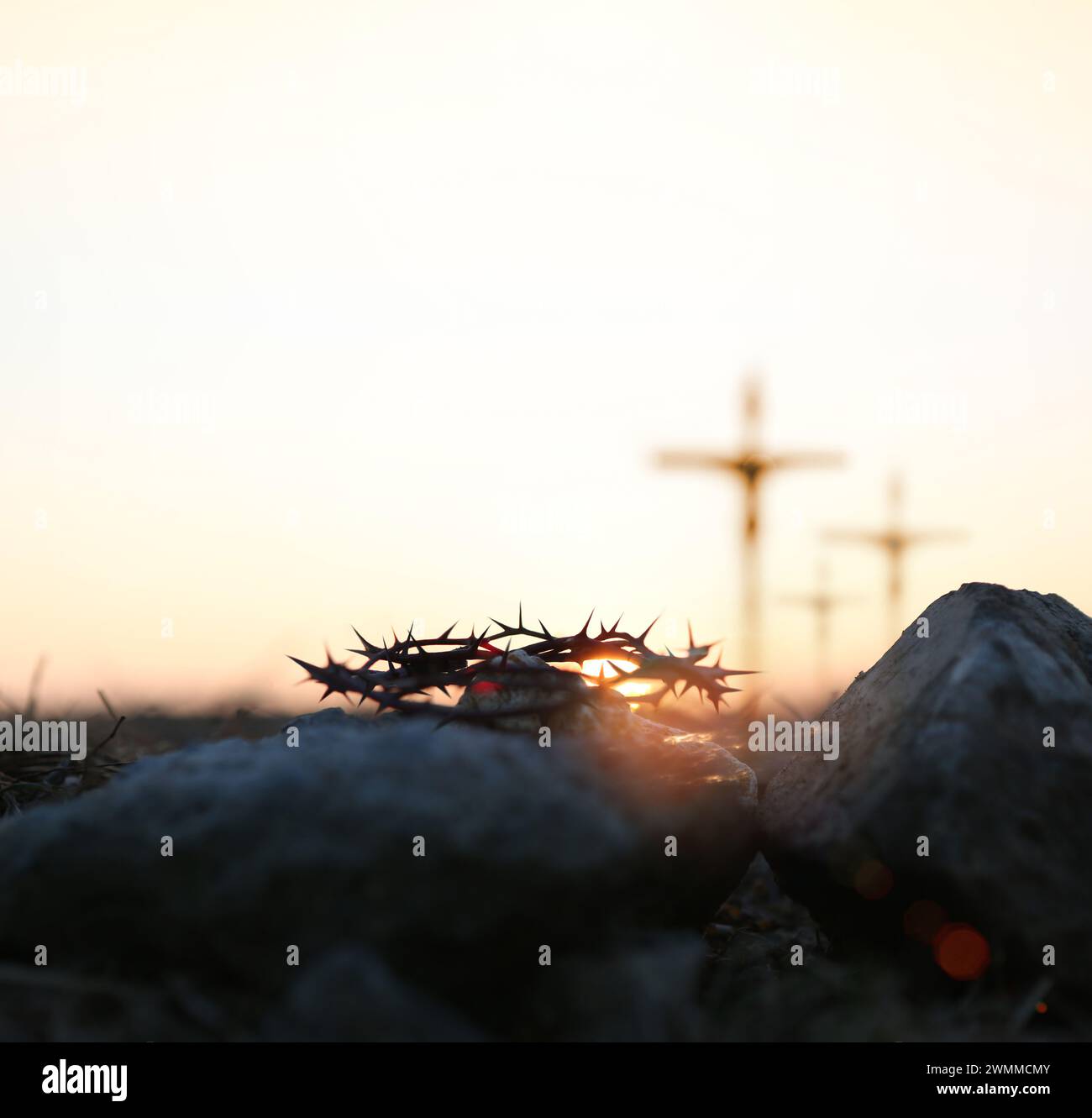 The cross and crown of thorns of Jesus Christ symbolizing suffering and ...