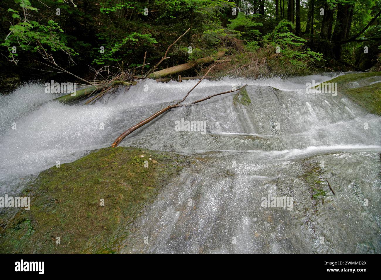 Stream flowing down a mountain hi-res stock photography and images - Alamy