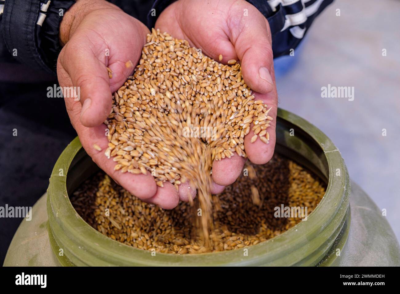 Principle of community hi-res stock photography and images - Alamy