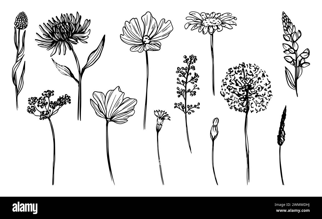 Flower bouquet clipart Black and White Stock Photos & Images - Alamy
