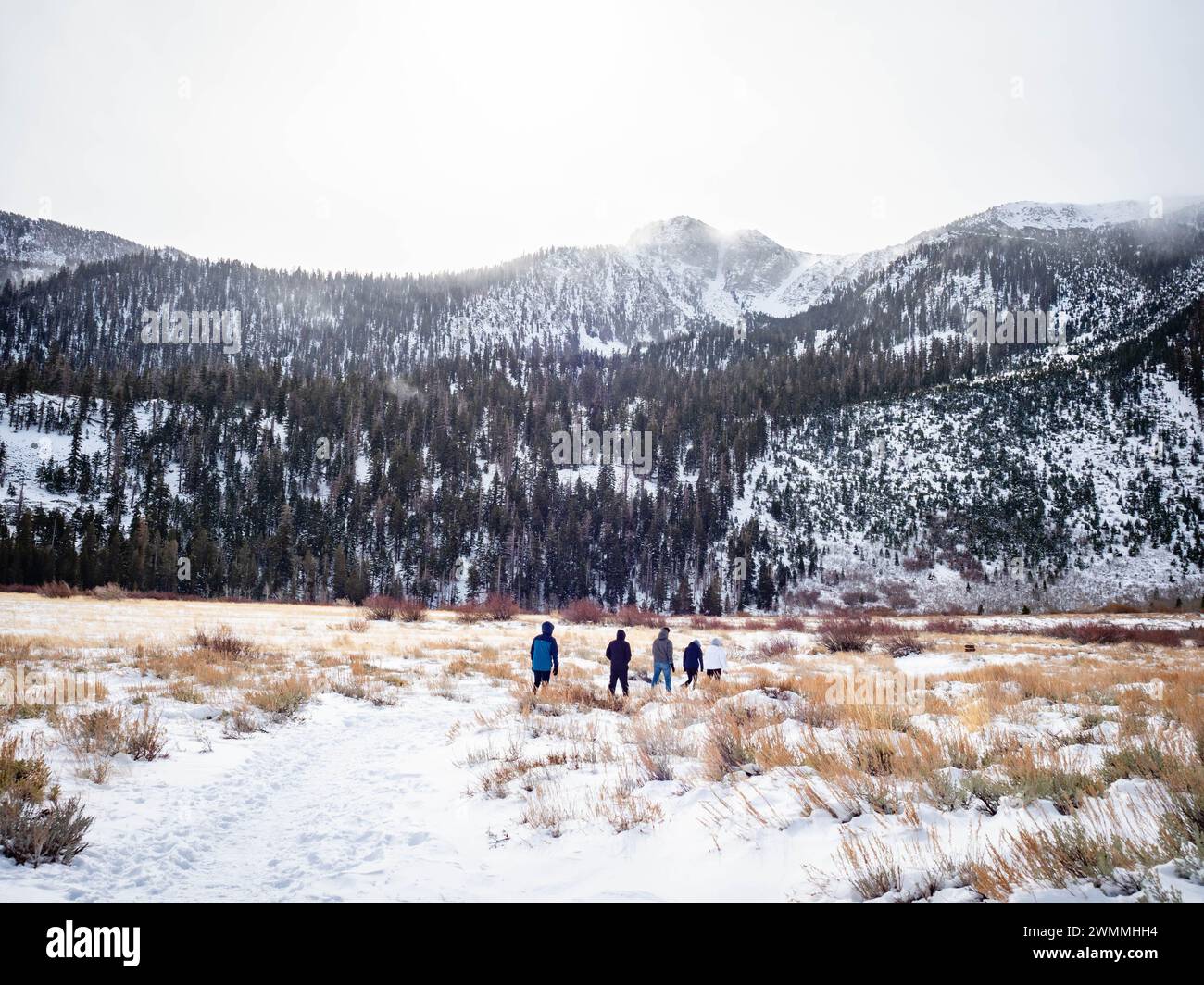 Group Hiking in snow in Mammoth Lakes, California in winter Stock Photo ...
