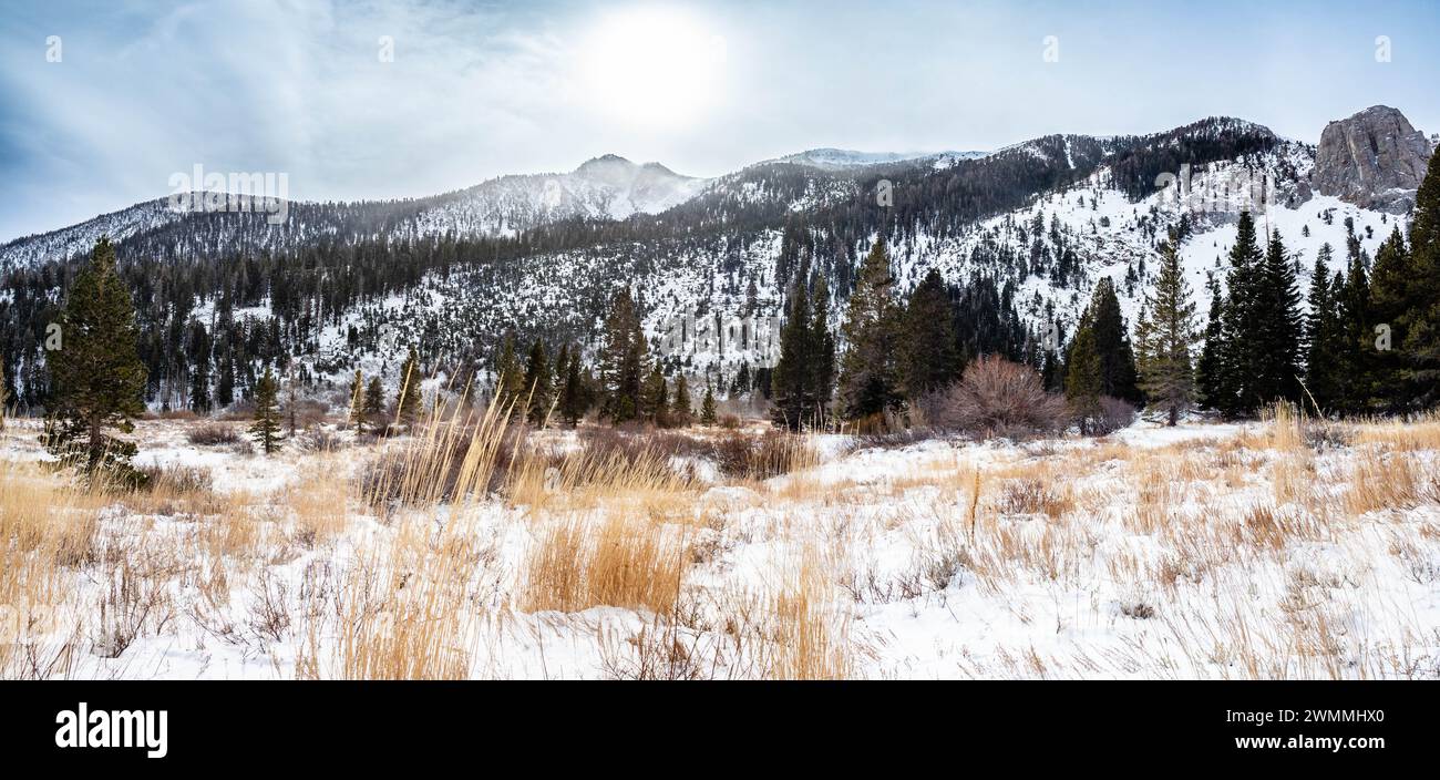 Mammoth lakes winter hi-res stock photography and images - Alamy