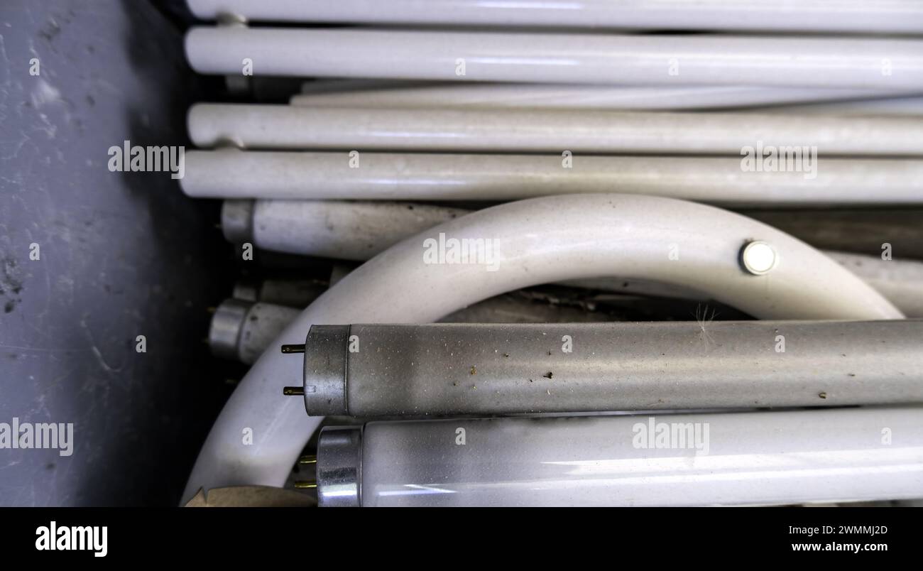 Detail of old damaged and discarded light bulbs, recycling Stock Photo ...