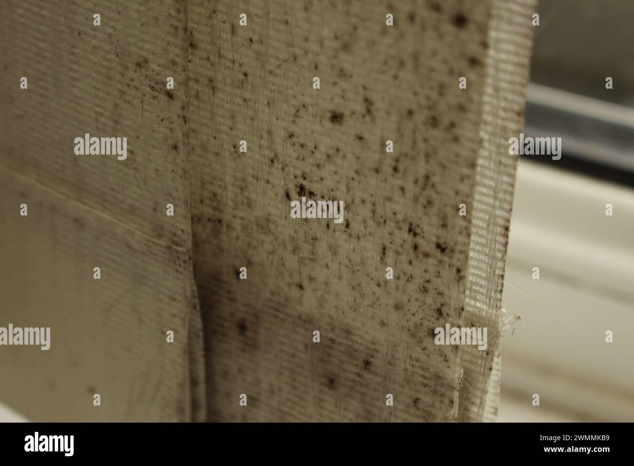 Vertical blinds hi-res stock photography and images - Alamy