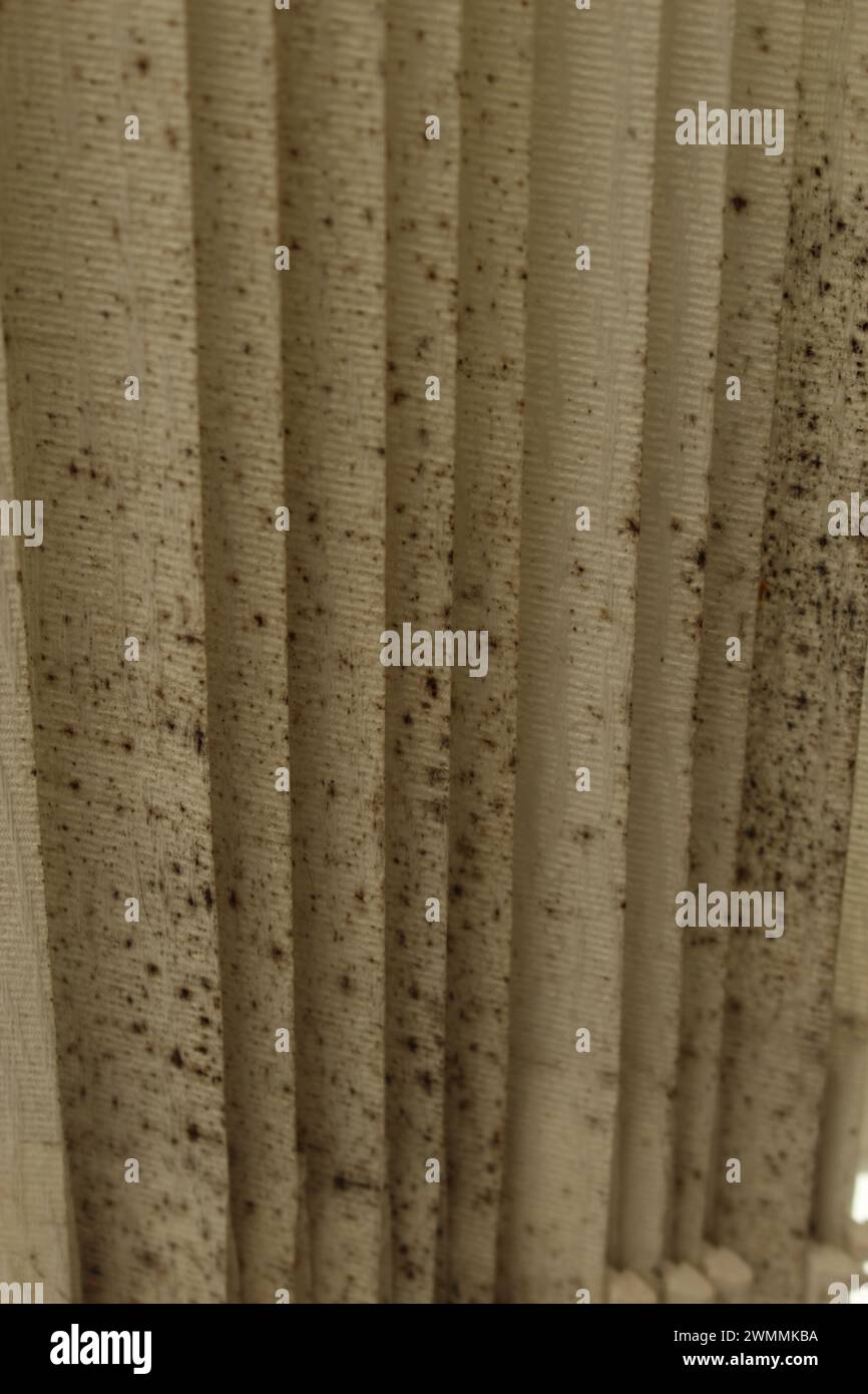 Vertical blinds hi-res stock photography and images - Alamy