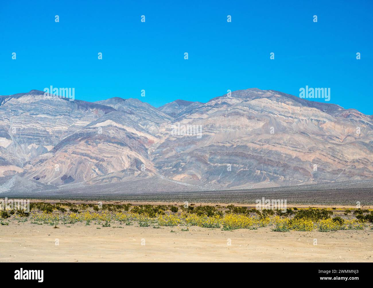 Colorful marbles mountains with yellow flowers in Panamint Valley ...