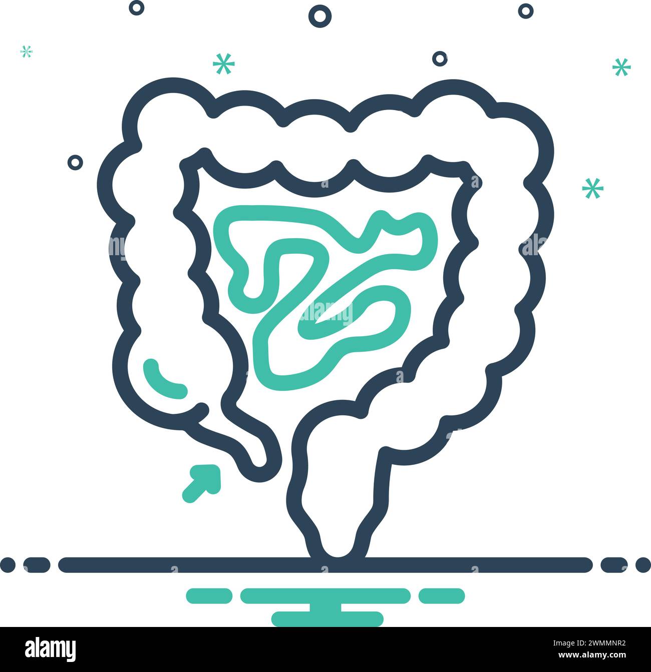 Icon for appendix,intestine Stock Vector Image & Art - Alamy