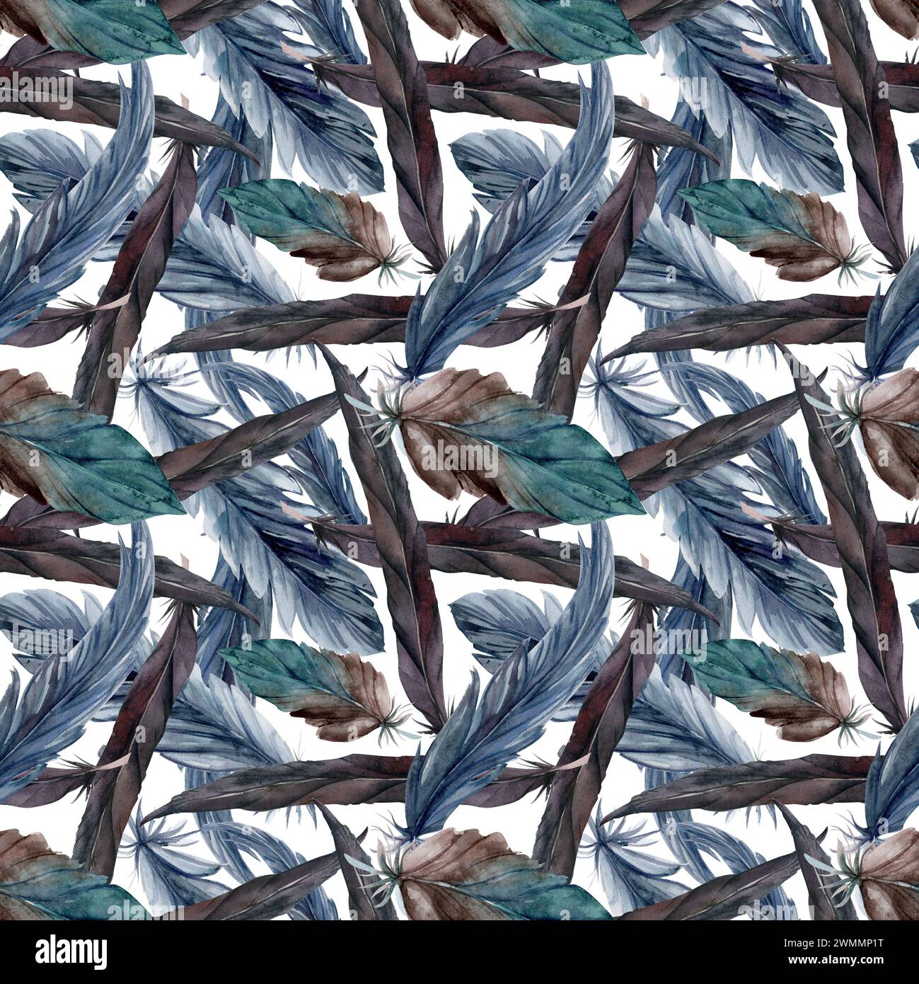 Hand drawn watercolor bird feather plume quill boho tribal ethnic ...