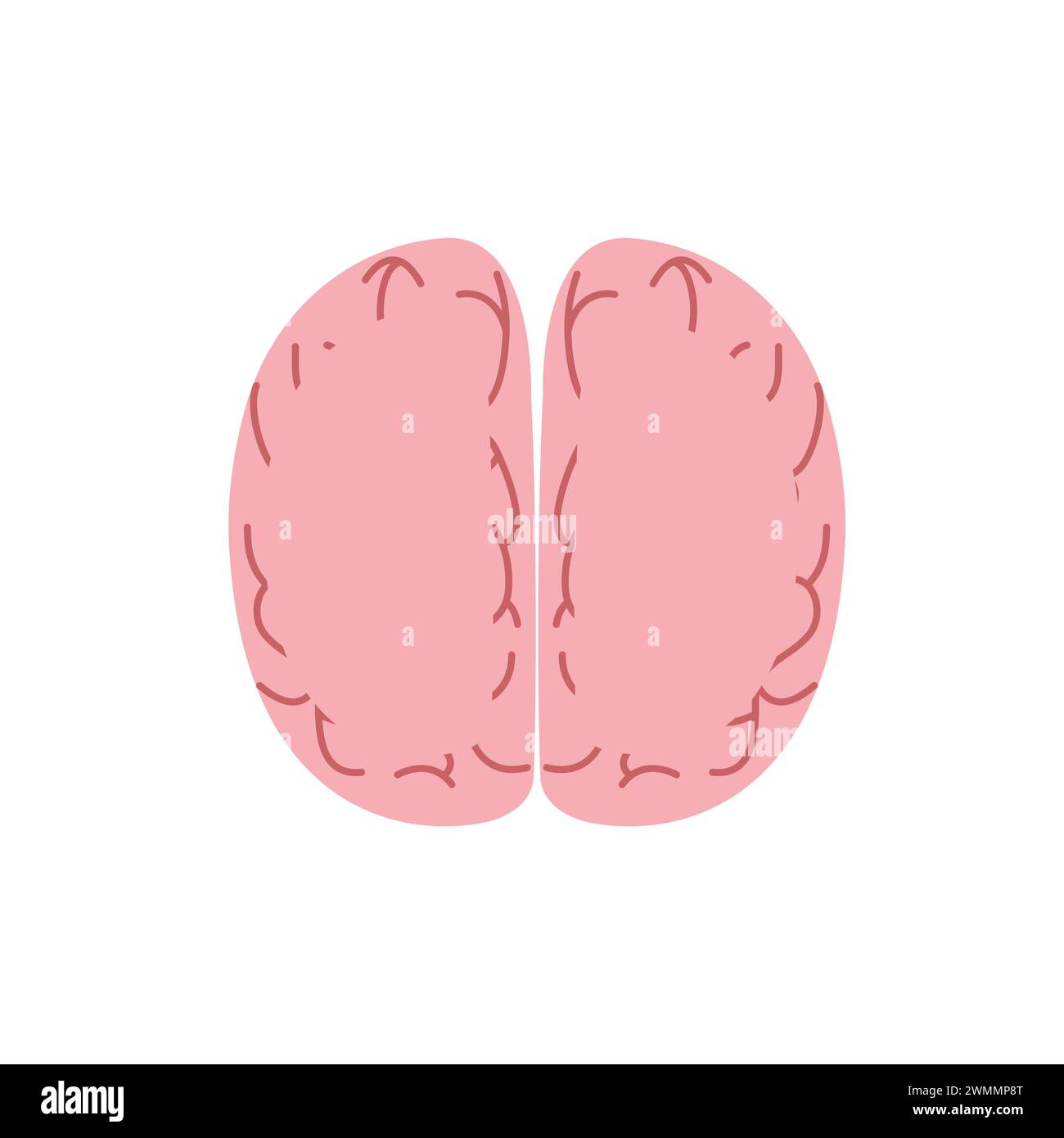 Brain line art side view Stock Vector Images - Alamy