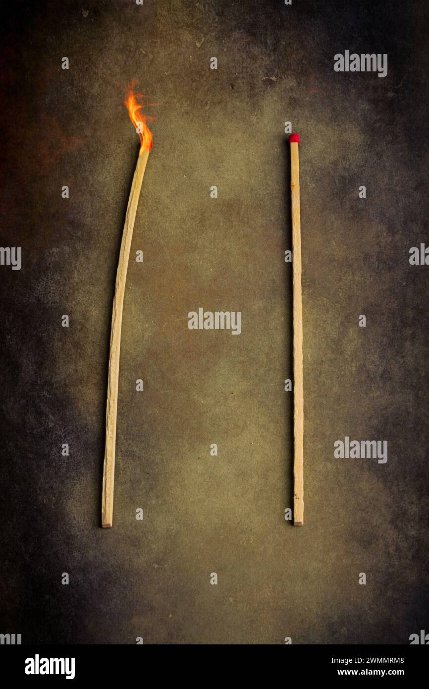 Minimalist still life vertical image with copy space of two long ...