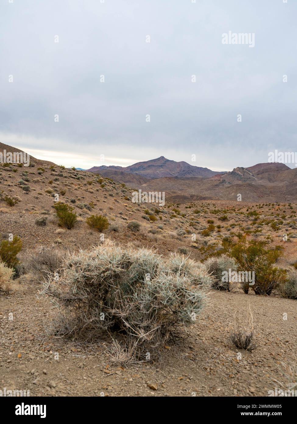 Joint community hi-res stock photography and images - Alamy