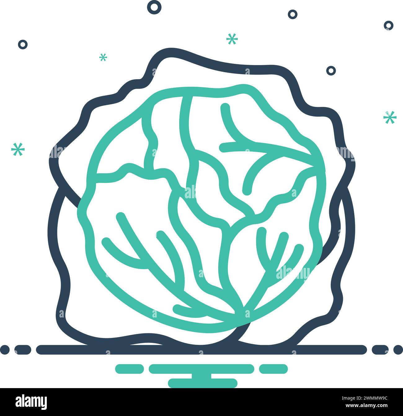 Icon for cole,cabbage Stock Vector Image & Art - Alamy