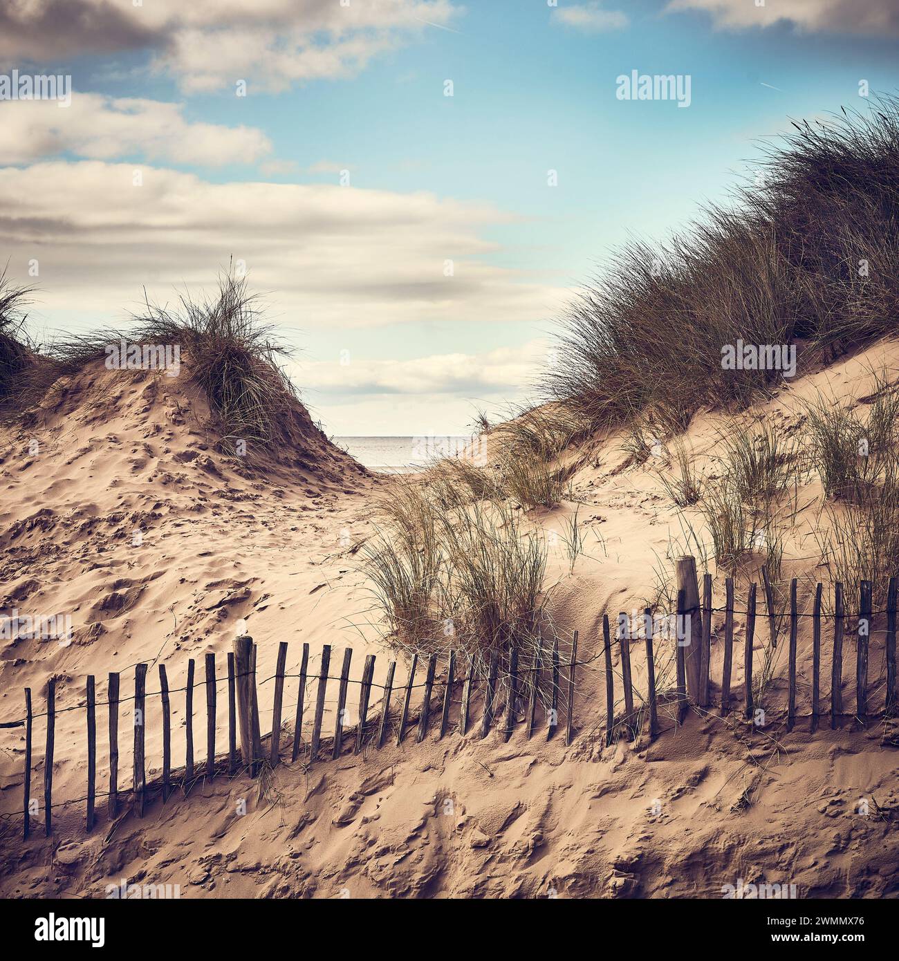 Fence and sand dunes on the Fylde coast Stock Photo - Alamy