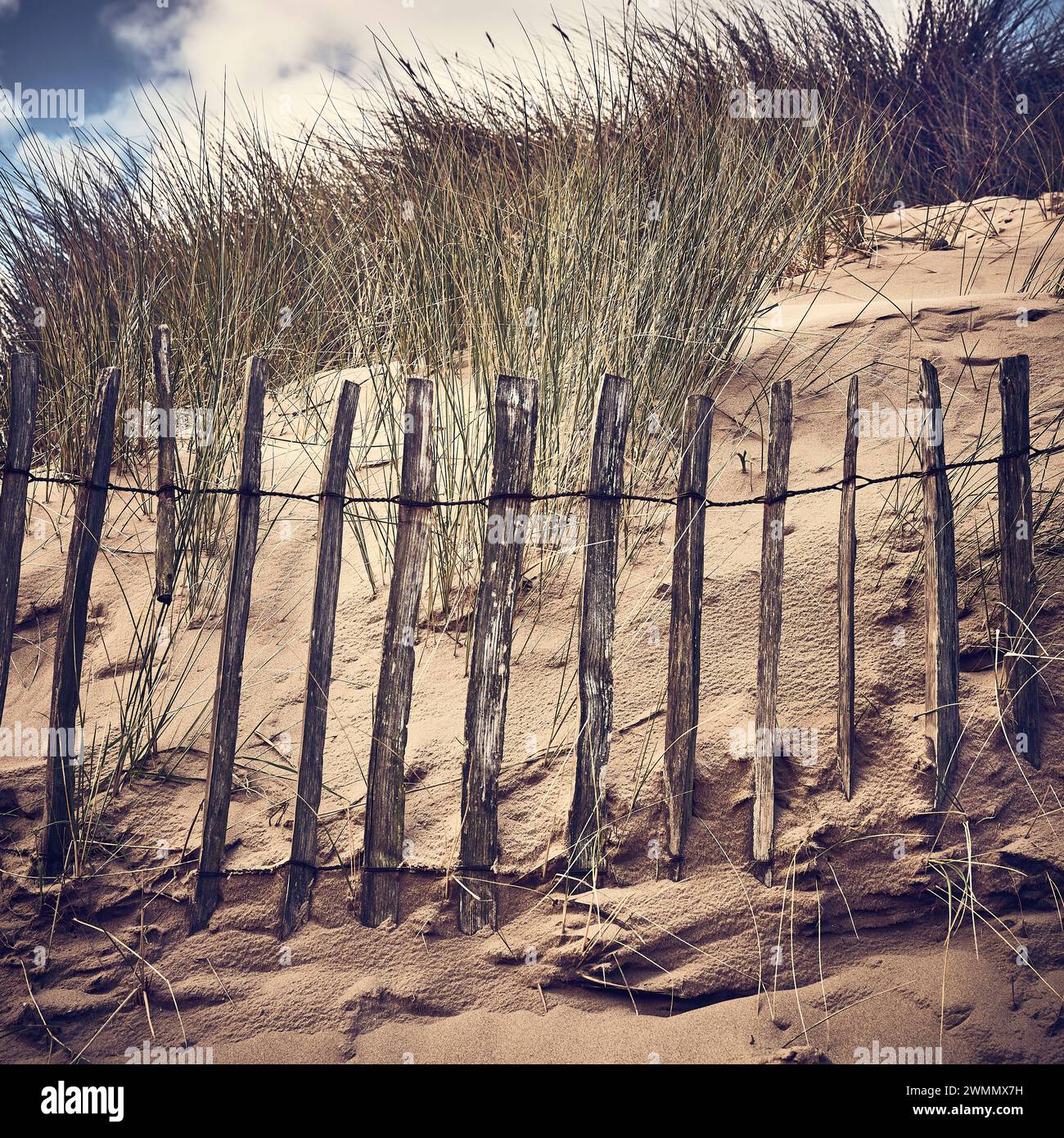 Fence and sand dunes on the Fylde coast Stock Photo - Alamy