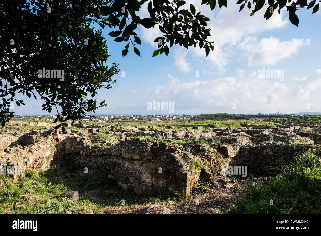 Ugarit hi-res stock photography and images - Alamy