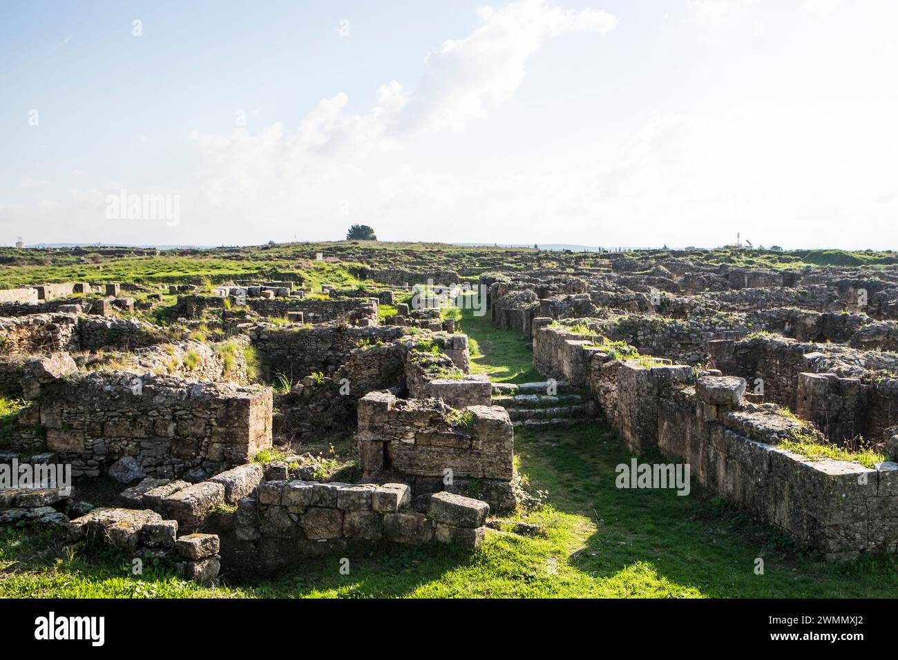 Ugarit hi-res stock photography and images - Alamy