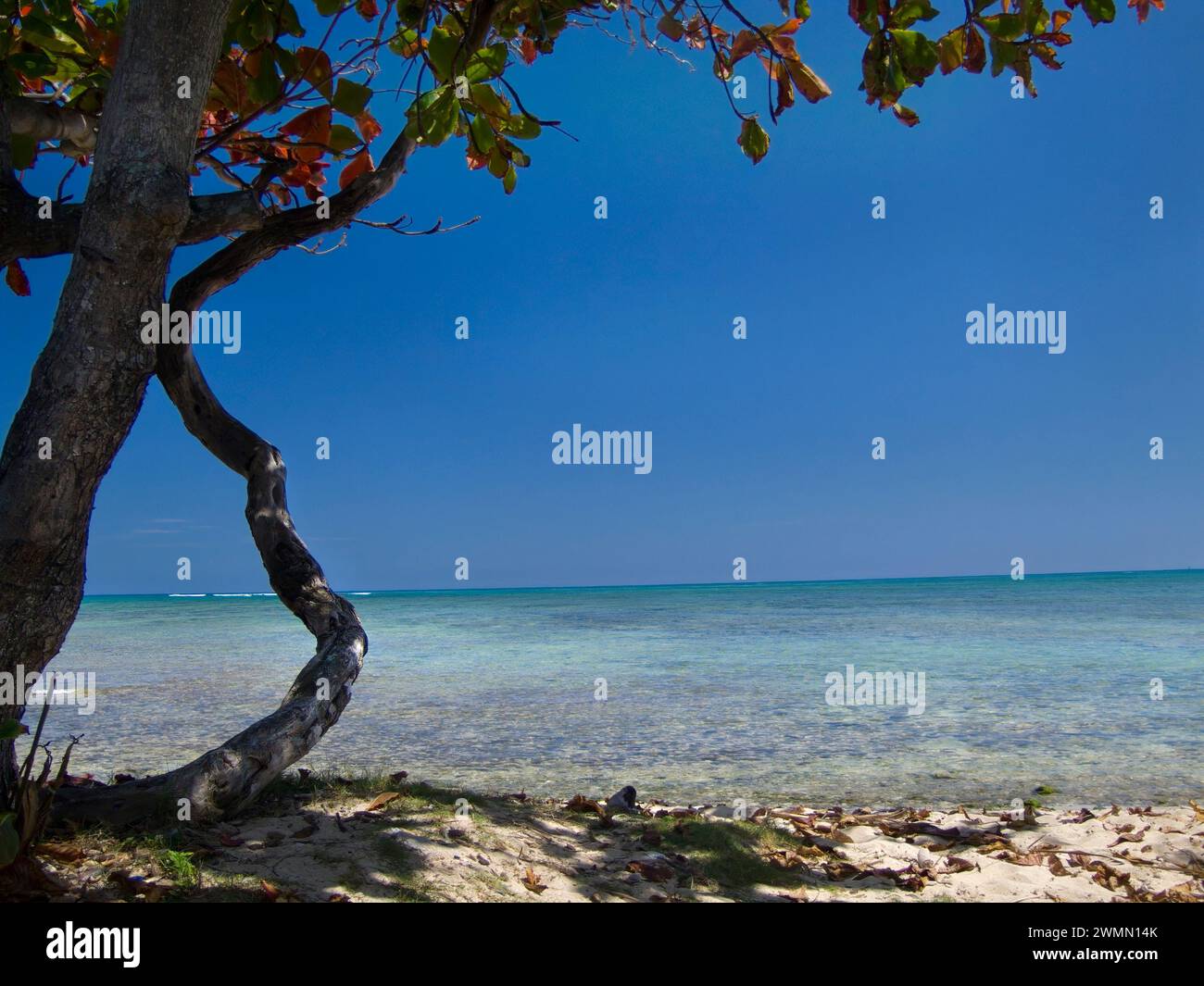 Kualoa nature reserve hi-res stock photography and images - Alamy