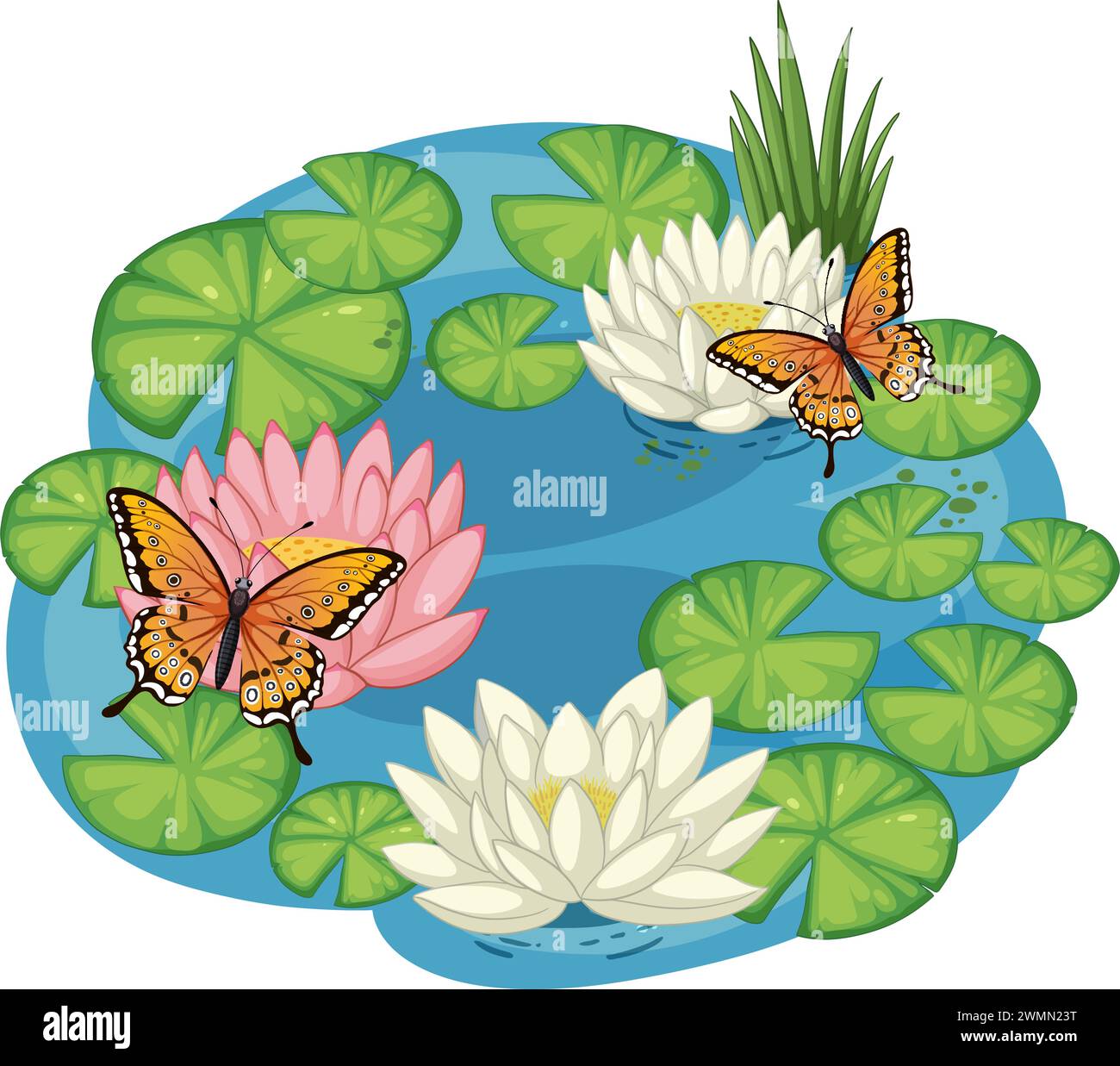 Lily pond serenity Stock Vector Images - Alamy
