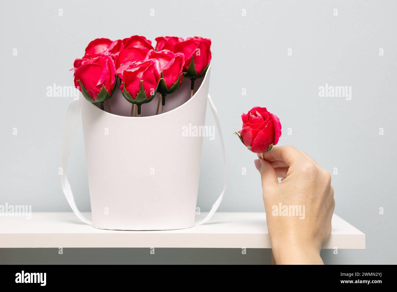 woman takes out a red rose from a bouquet. box with red roses. bouquet ...