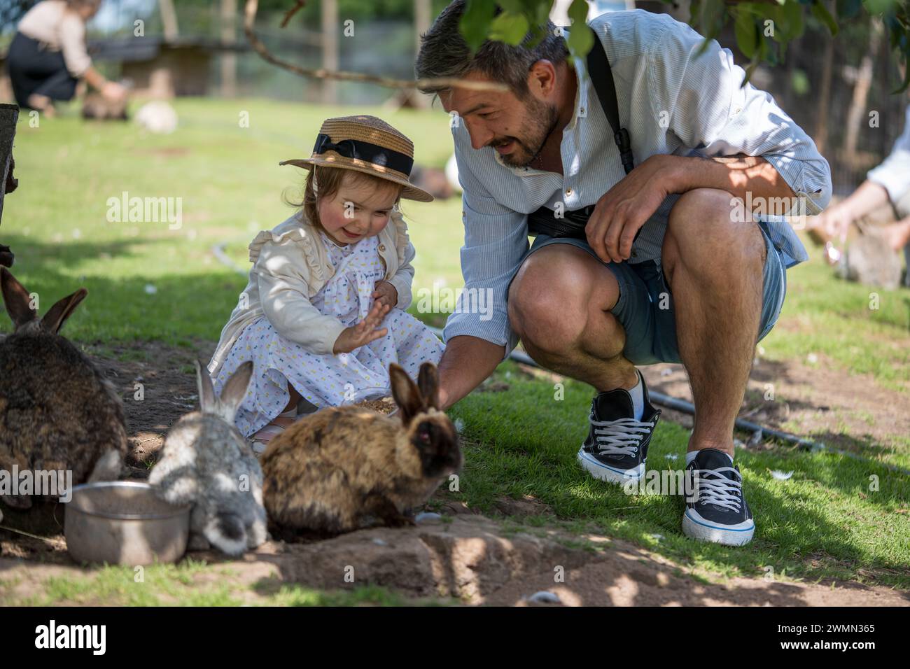 Dad and small daughter feeding rabbits on farm Stock Photo - Alamy