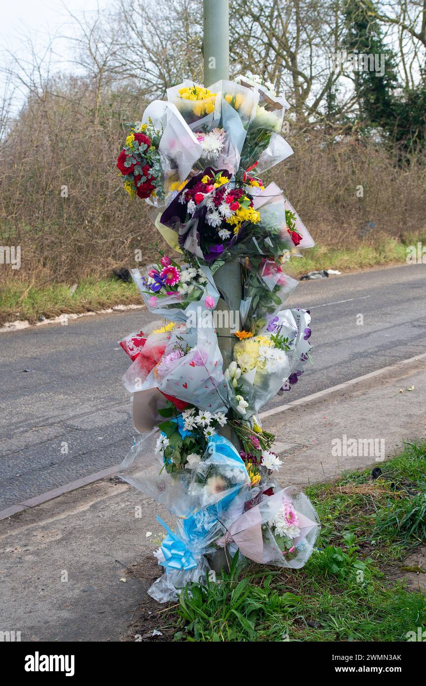 Adam bouaziz hi-res stock photography and images - Alamy