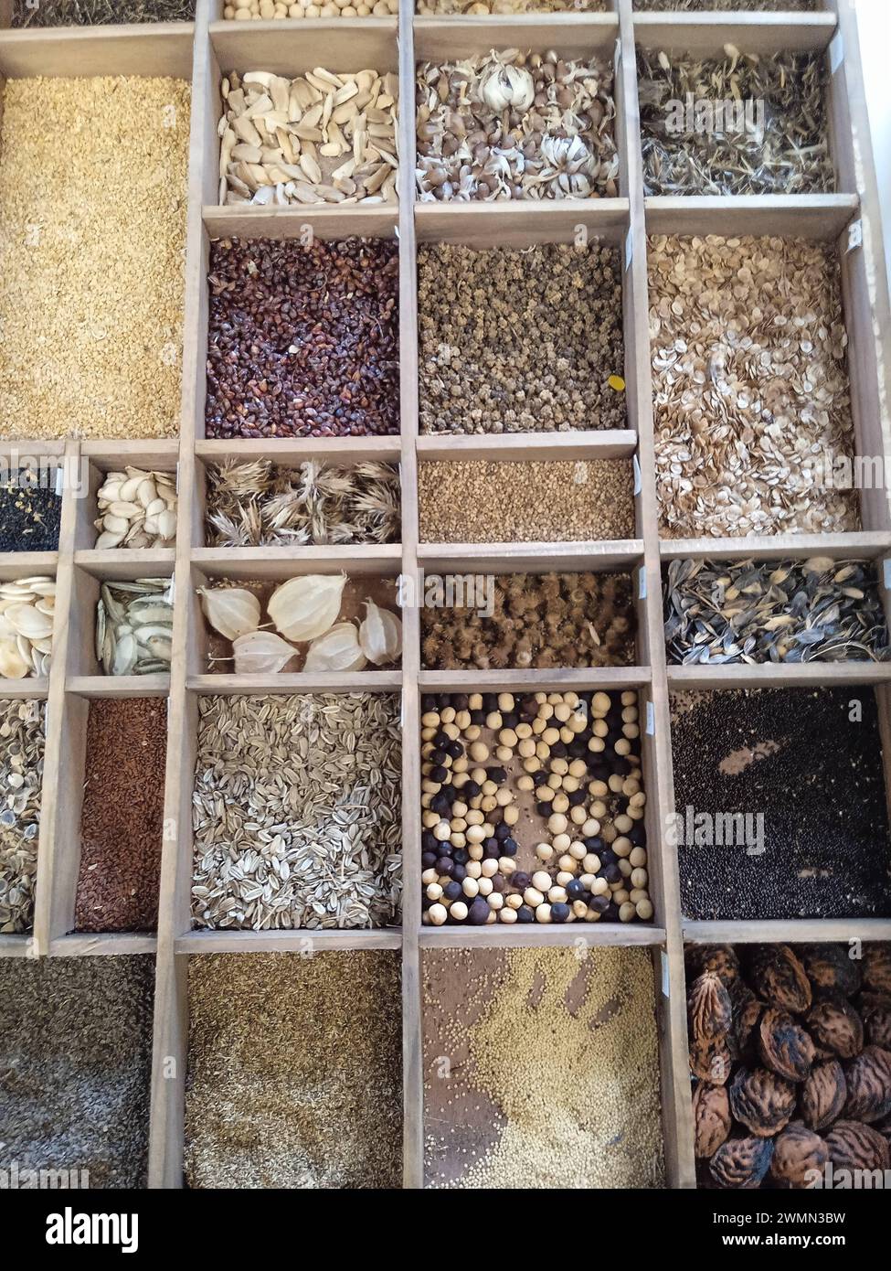 seed seeds plant plants botany earth grow growth habitat plant ecology ...