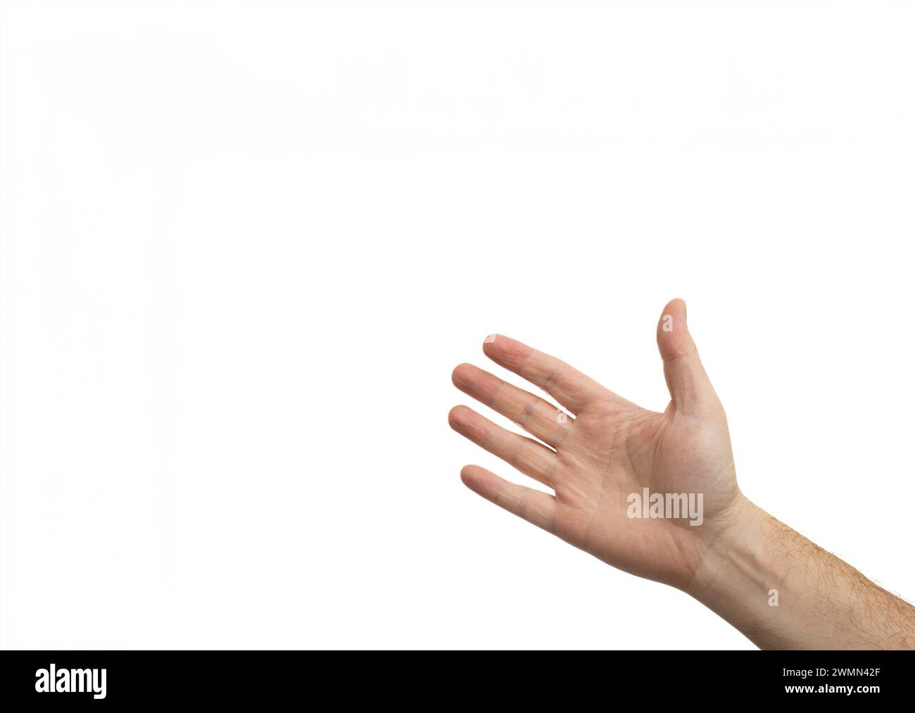 Caucasian man's open right hand palm, isolated on white Stock Photo - Alamy