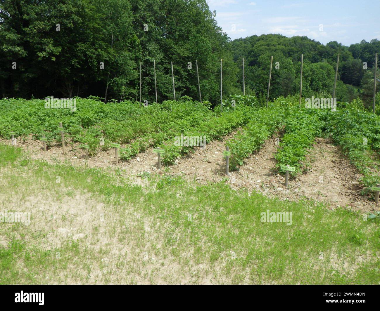 garden horticulture a very important structure in agriculture garden ...