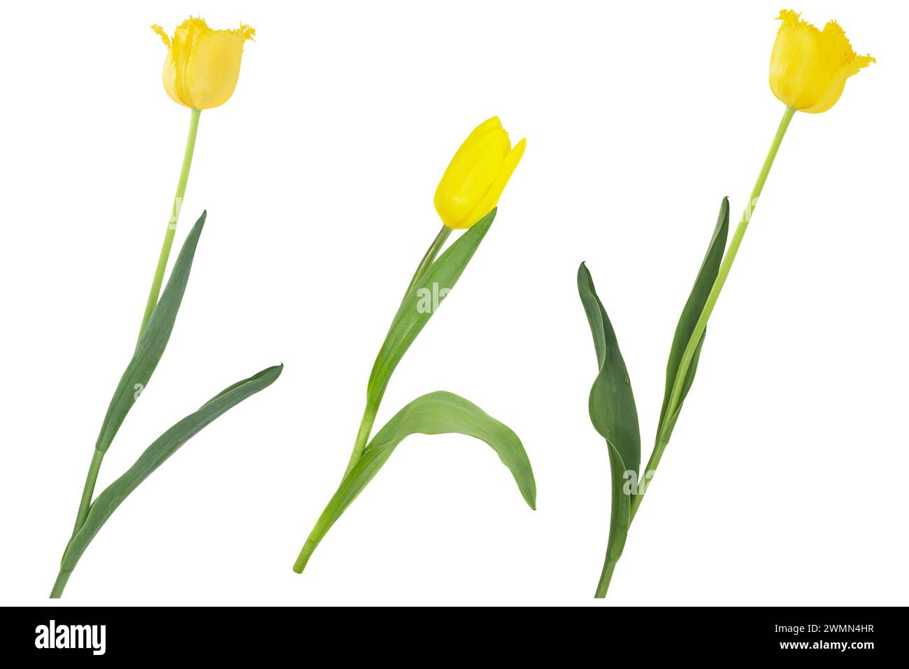 Realistic happy birthday banner Cut Out Stock Images & Pictures - Alamy